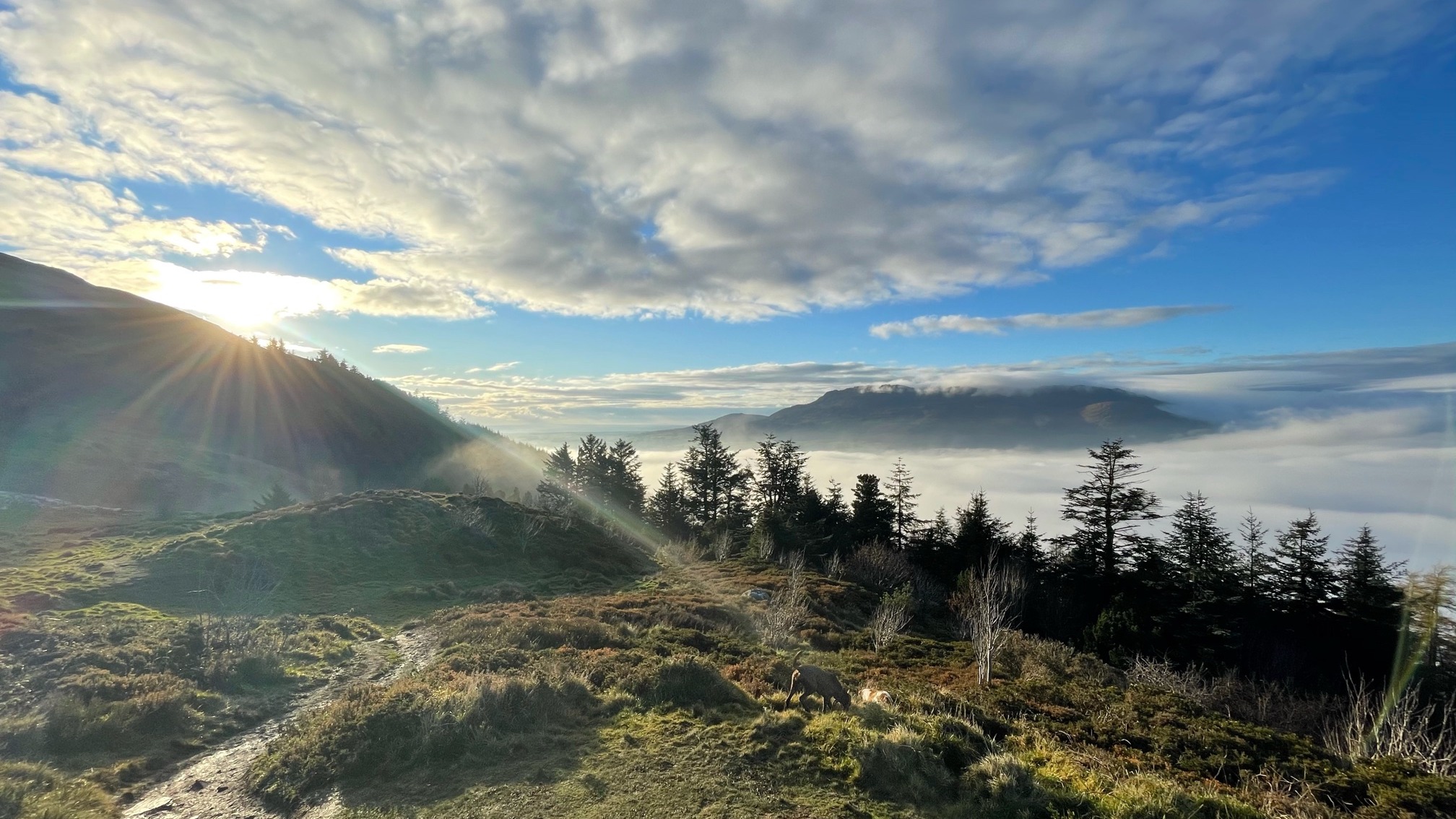 Councils in Northern Ireland to receive £1.3m of levelling up funding ...