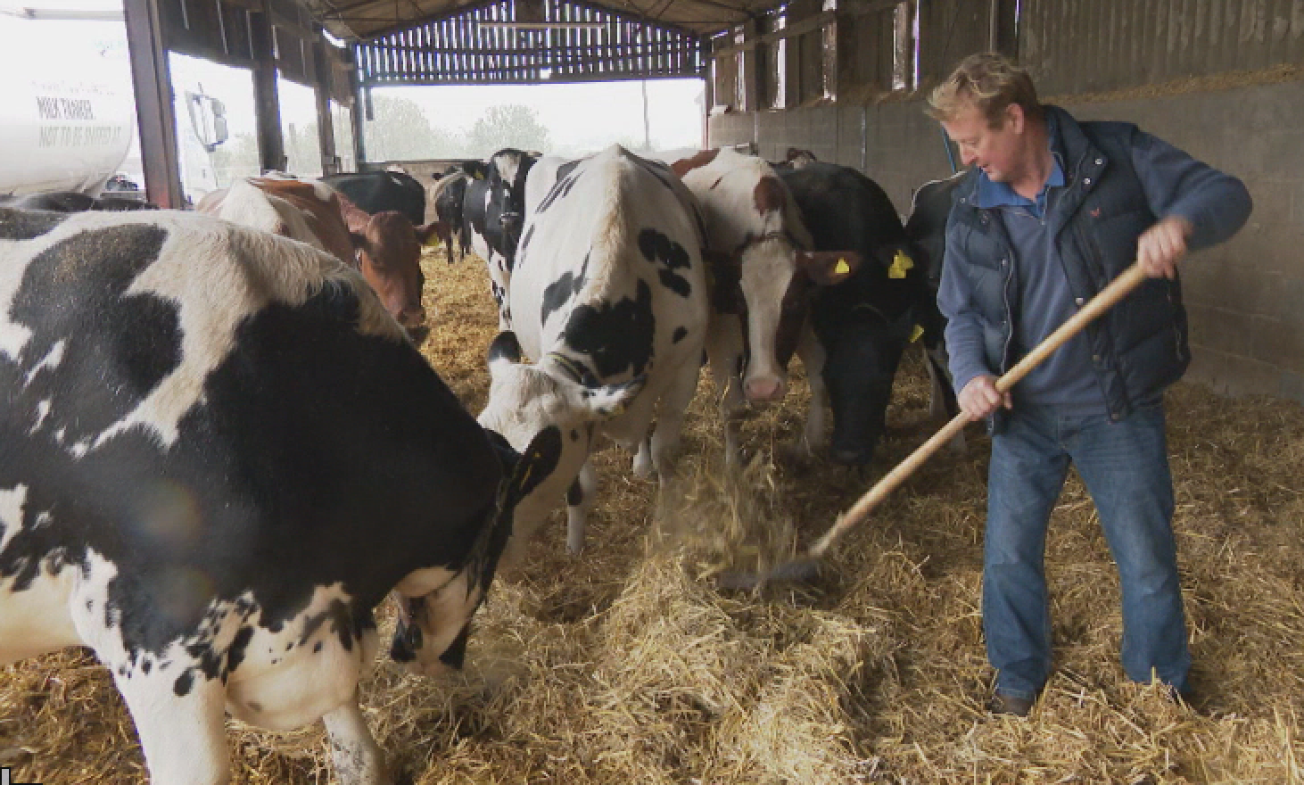Poo power: The cows powering a green revolution | ITV News Meridian