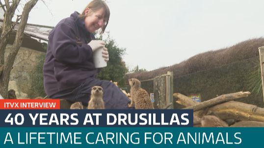Sue Woodgate started off as as a trainee zoo keeper and loved the job ...