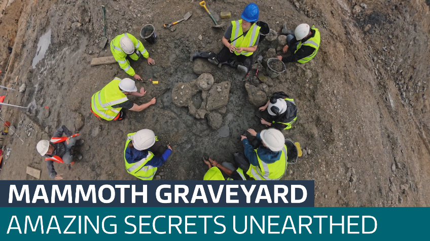 Mammoth graveyard's final excavation reveals more secrets - Latest From ...