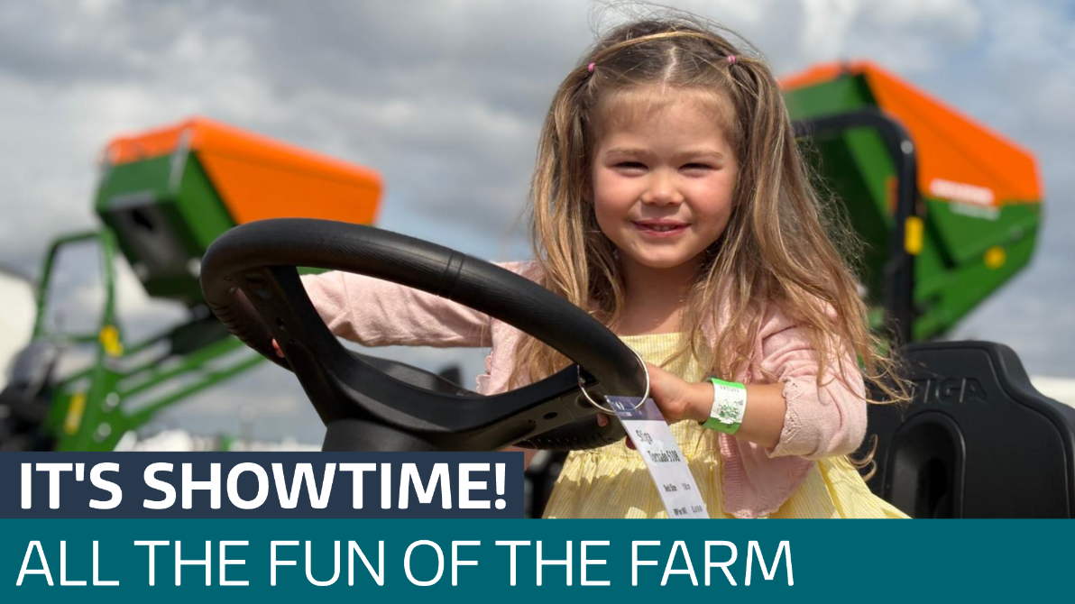 Royal Norfolk Show 'best since Covid' as 80,000 visitors roll up ...
