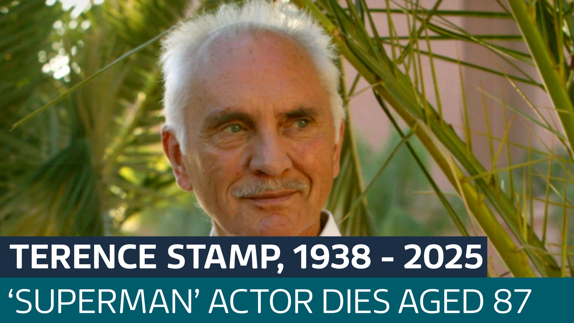 Terence Stamp, who played General Zod in original Superman films, dies ...