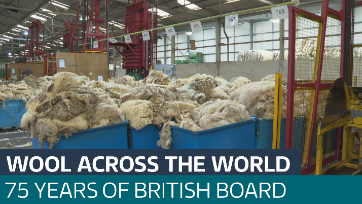 Wool across the world: Celebrating 75 years of British board - Latest ...