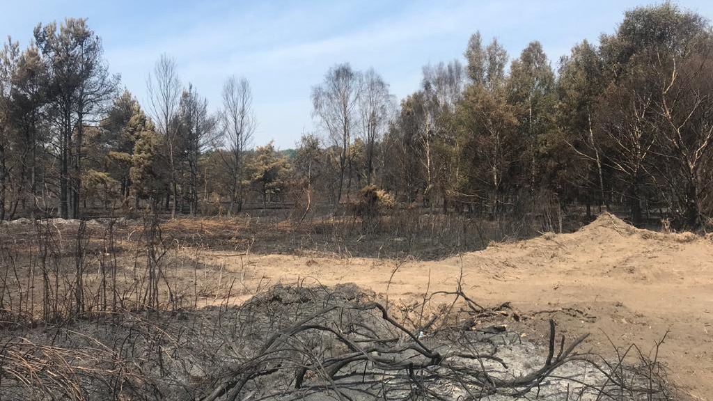 Chobham common fire: Inferno destroyed hundreds of hectares and ...