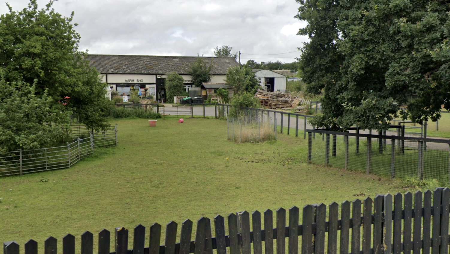 Boss of Hertfordshire charity The Cat Survival Trust charged with ...