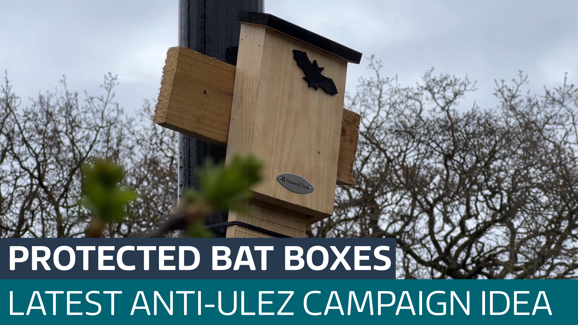 Anti-ULEZ campaigners hang bat boxes on damaged cameras to prevent ...