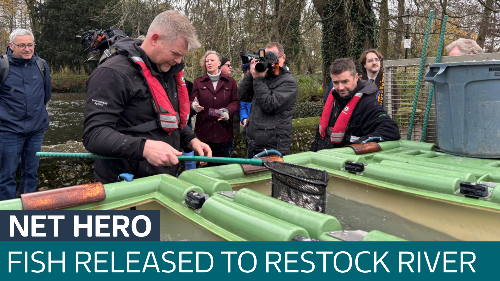 Thousands of fish released into the River Thet in Norfolk - Latest From ...
