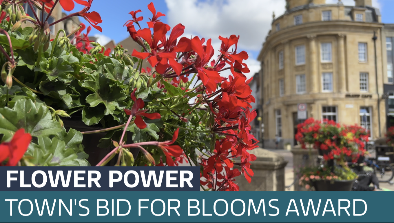 Northampton aims to wow judges in East Midlands floral competition ...