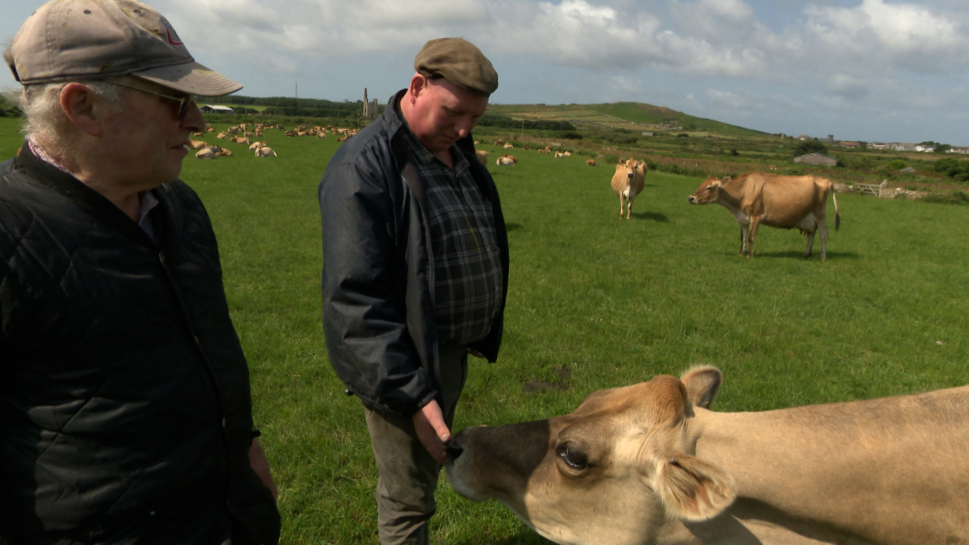 Cornwall farmers feeling 'rejected, neglected and ignored' by new rules ...