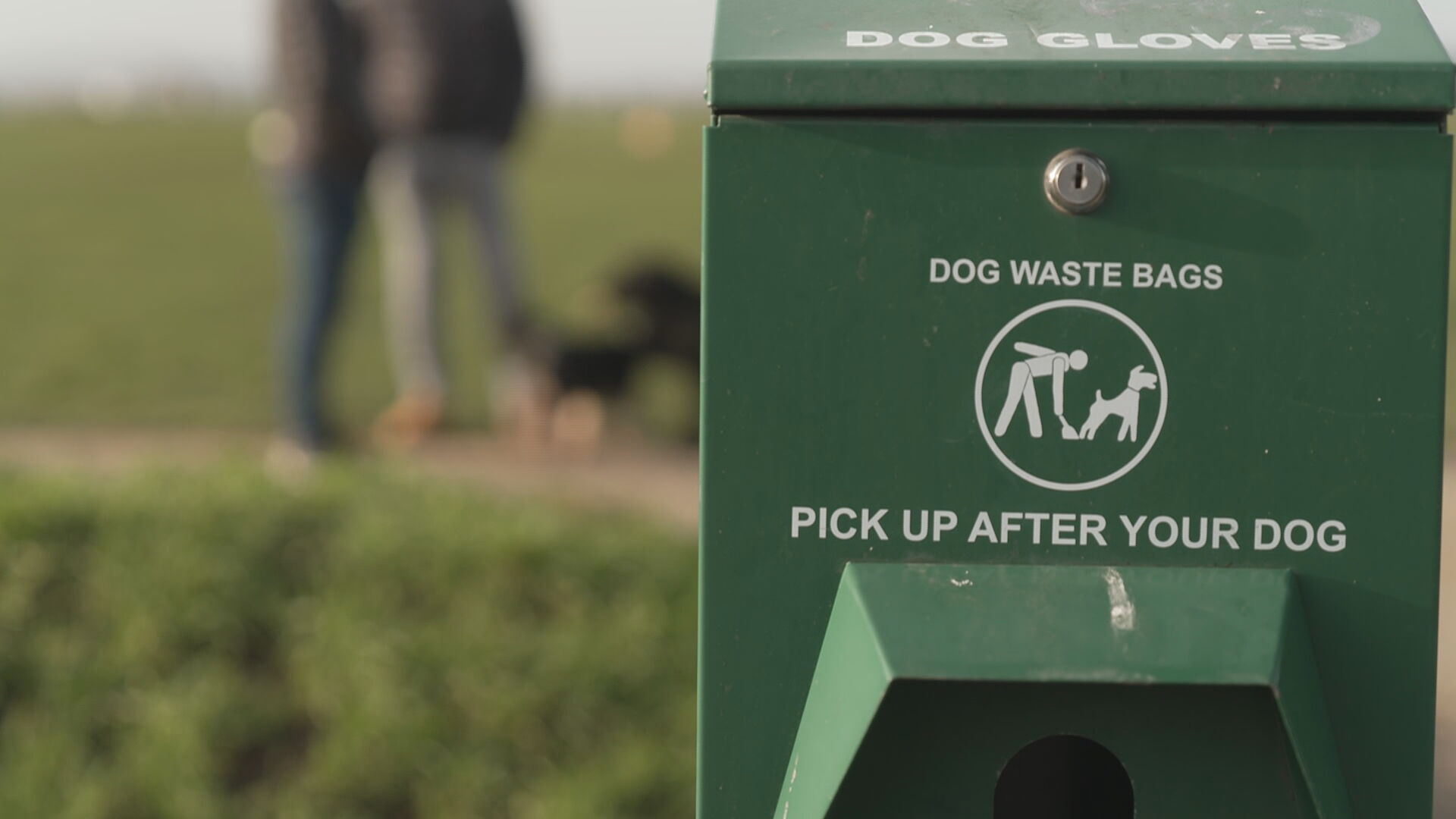 Councils' dog mess crackdown as 1,000 tonnes of poo is generated every ...