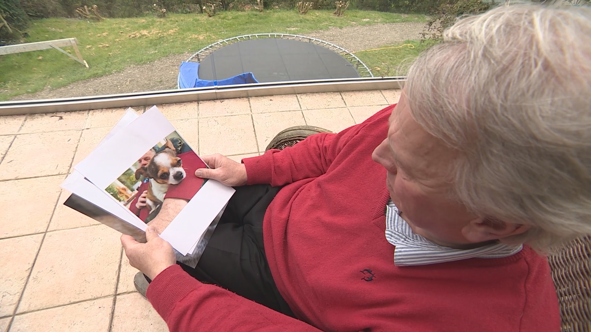 Man receives ransom demand for lost pet | ITV News Meridian