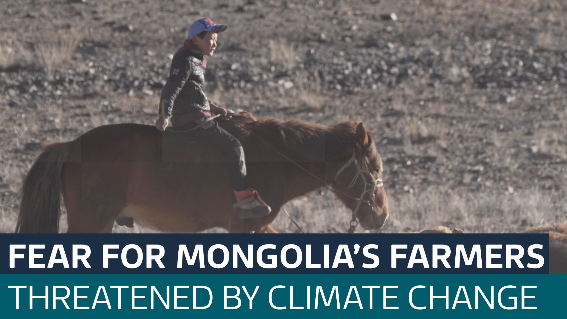 'No more water here': How drought is leaving Mongolia's farmers ...