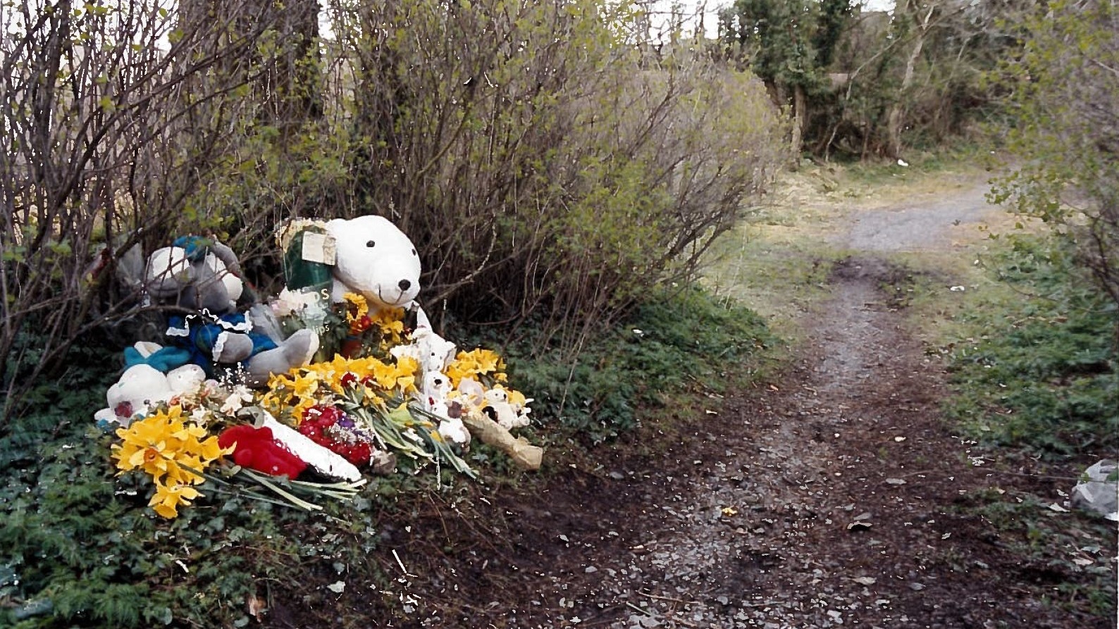 Police say answers to Baby Carrie’s murder in Carryduff ‘lie within ...