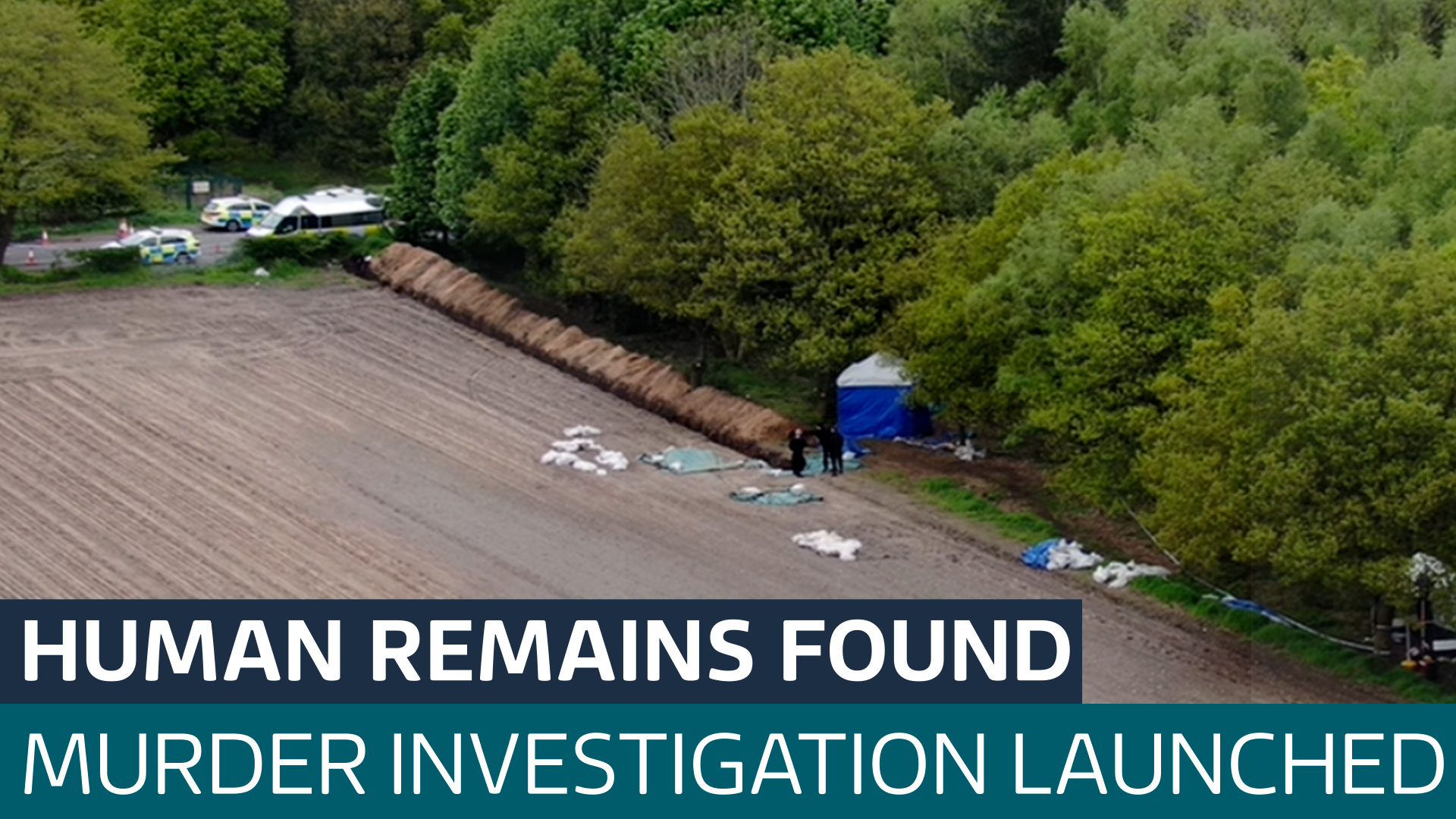 Murder investigation begins after human remains found in ...