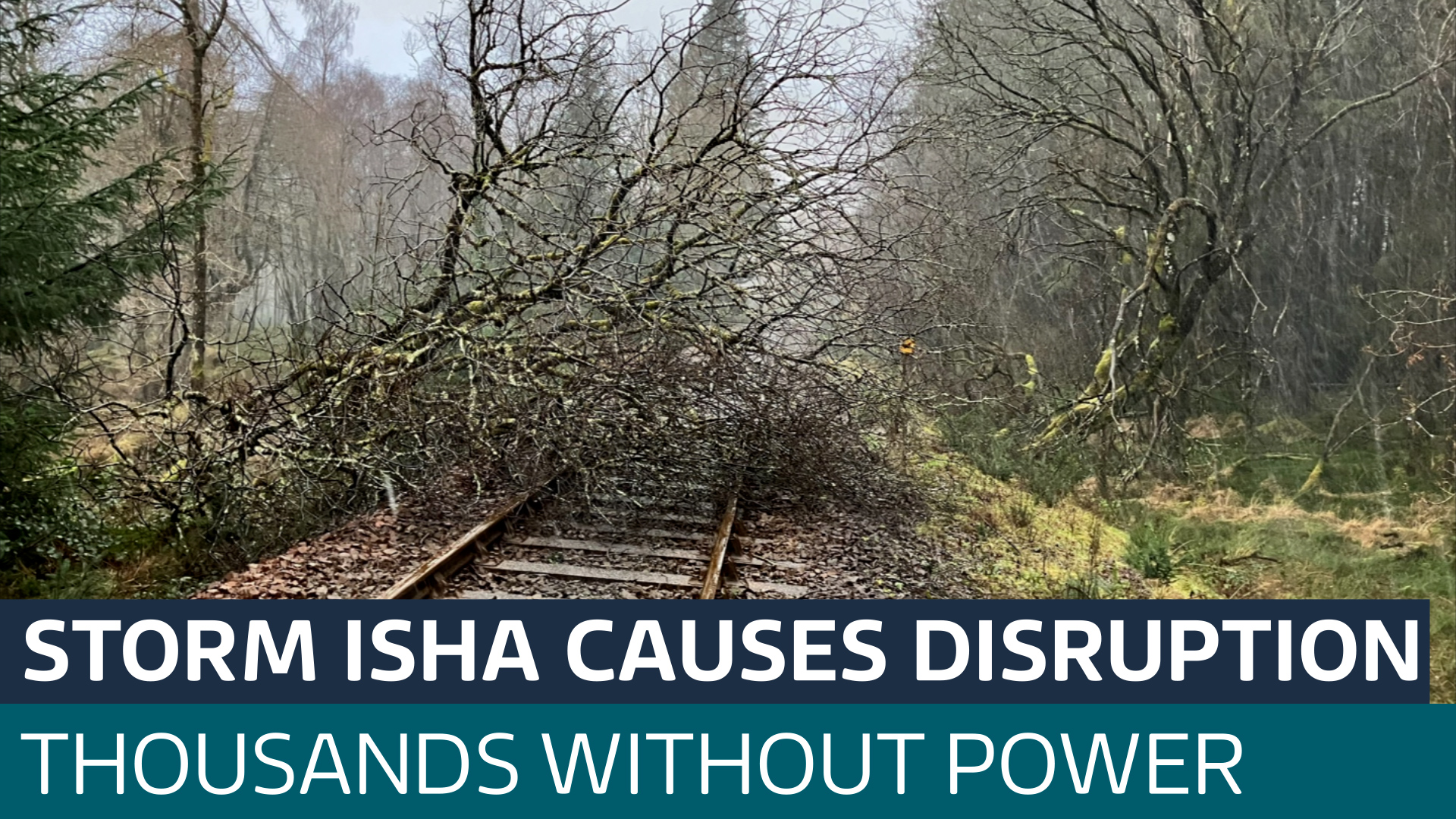 Travel disruption and thousands without power after Storm Isha brings ...