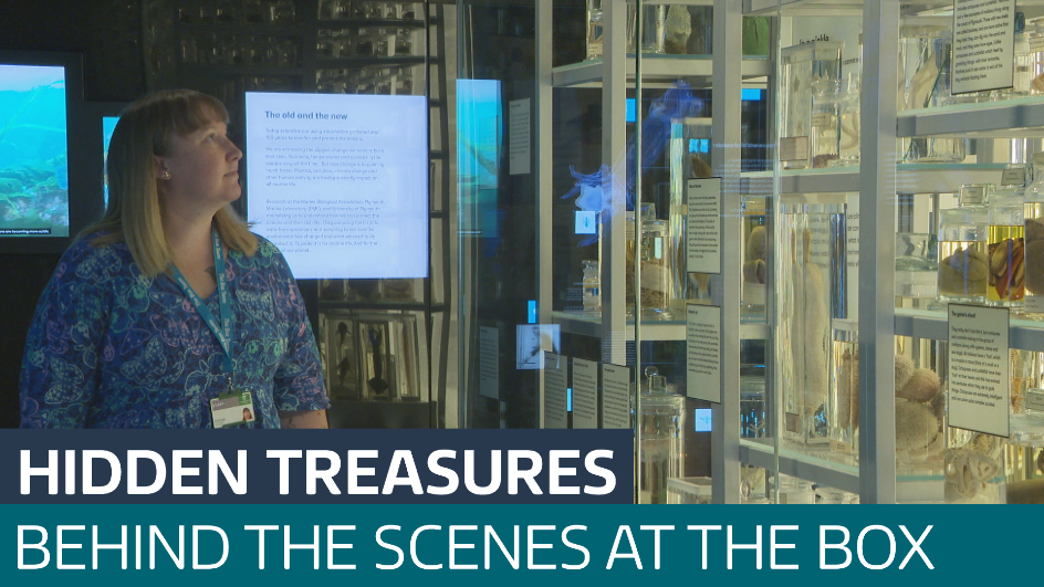 Lifting the lid on the secrets of The Box museum - Latest From ITV News