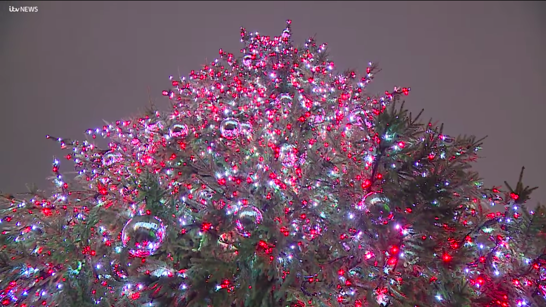 The colossal Christmas tree from Solihull lighting up Covent Garden ...