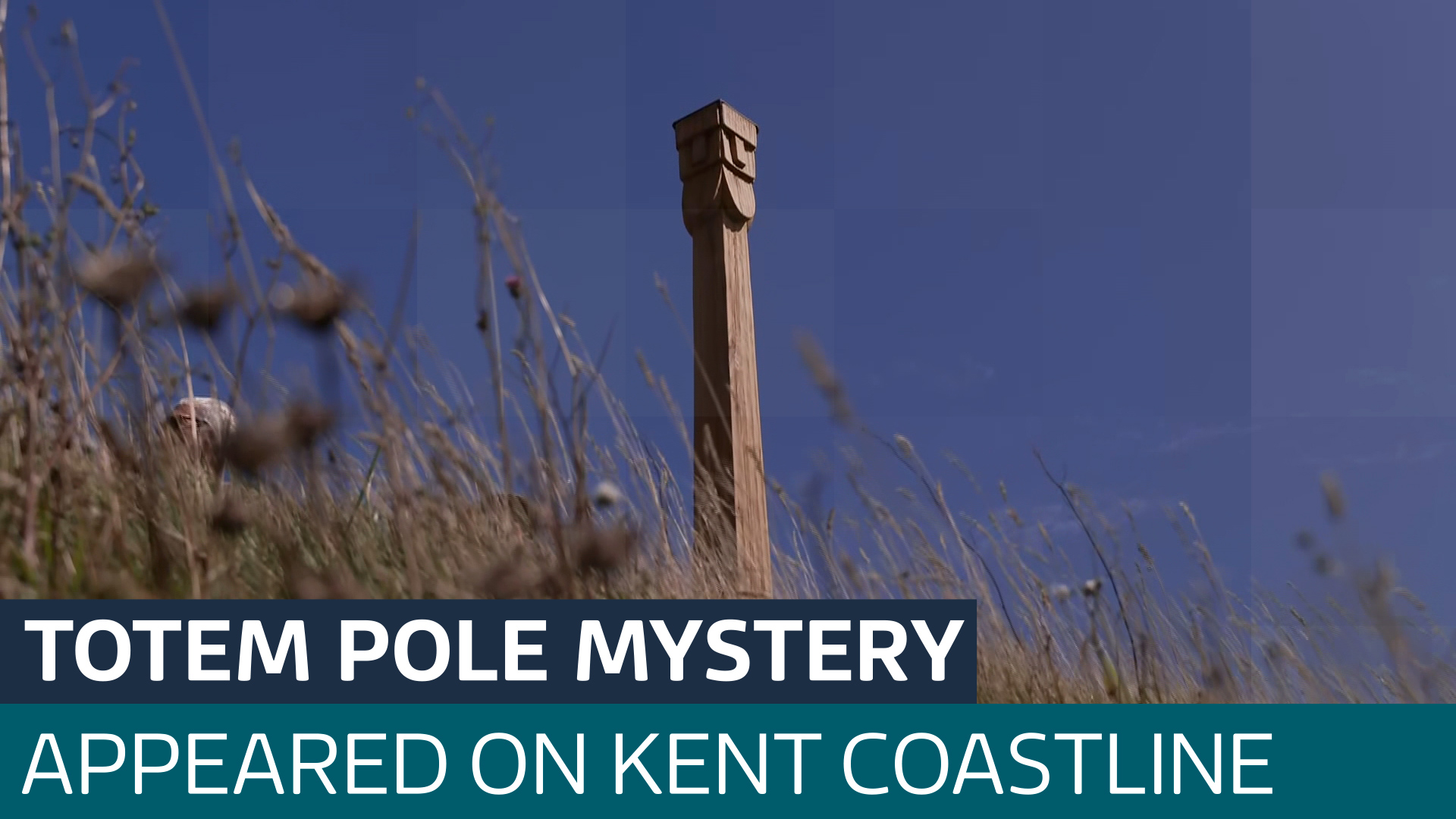 Appeal issued for mystery artist behind 8ft totem pole to come forward ...