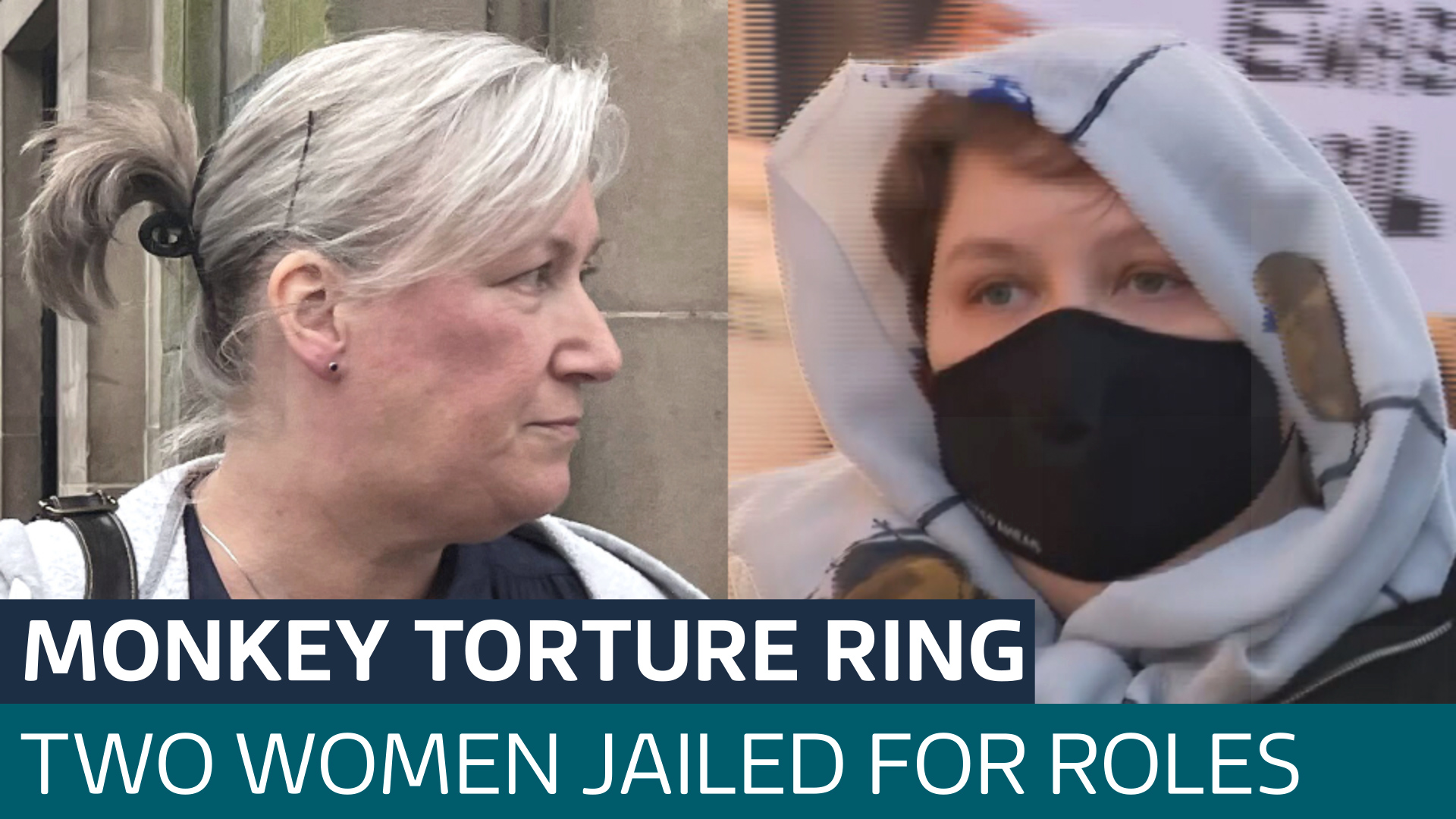Monkey torture women jailed for 15 and 24 months respectively - Latest ...