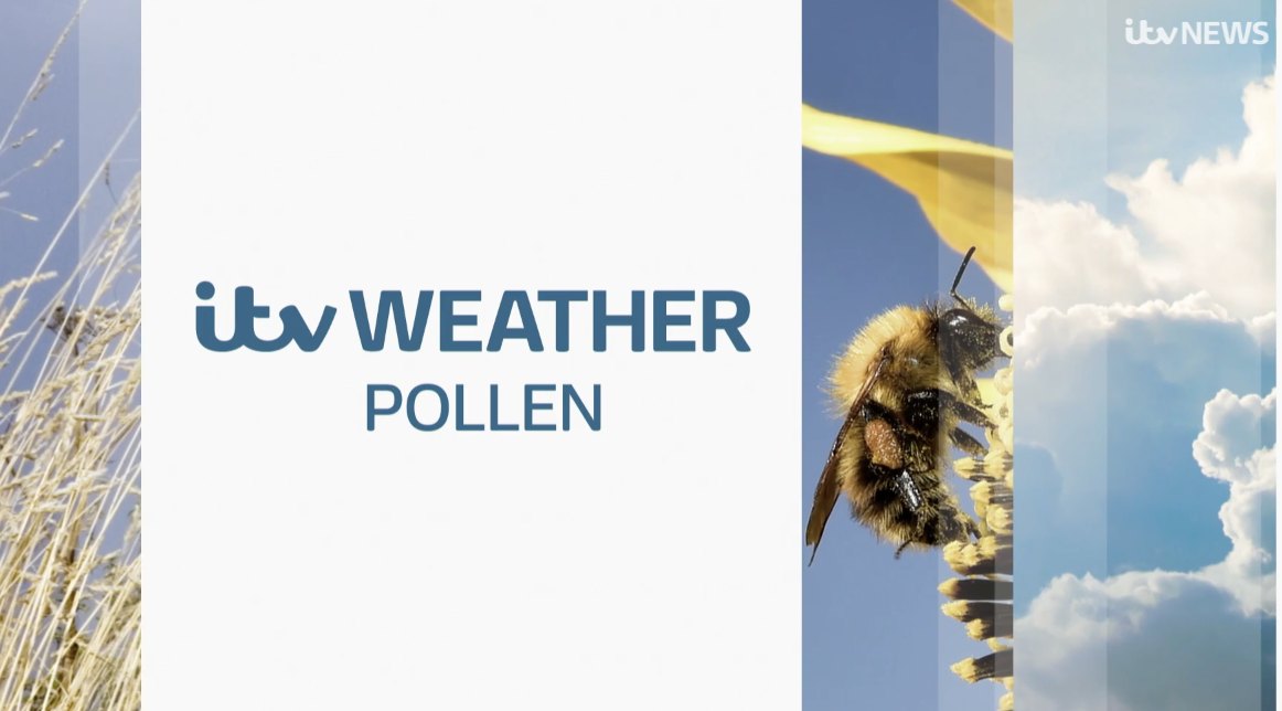 ITV Calendar : Weather News for Yorkshire, Lincolnshire & Surrounding Areas