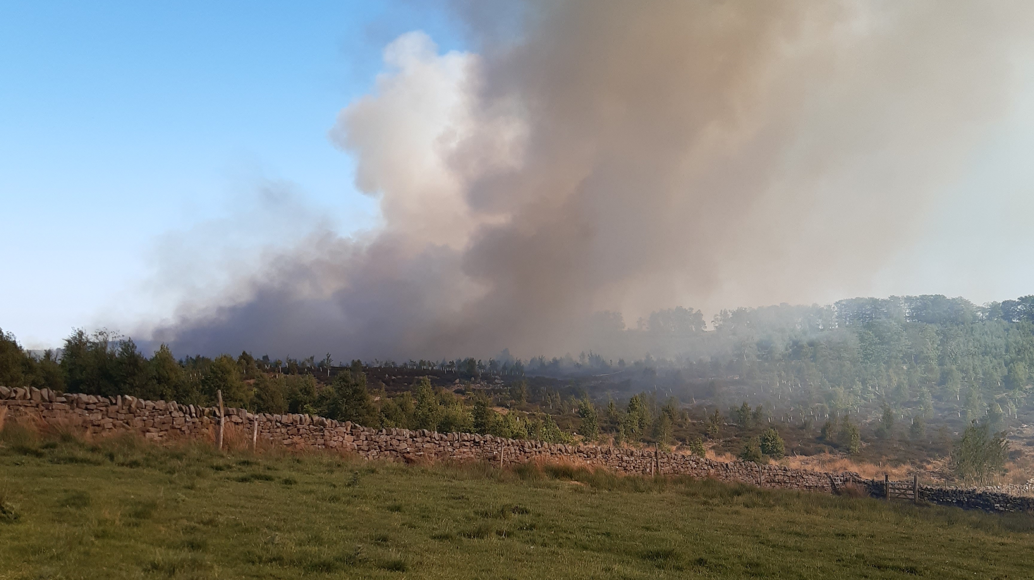 Large forest fire 'under control' in Northumberland | ITV News Tyne Tees