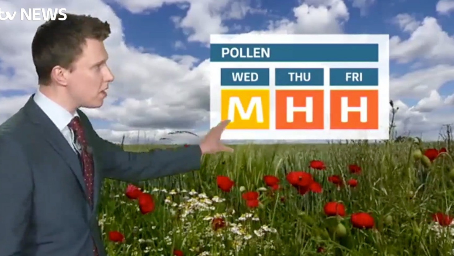 UK weather forecast: Pollen levels a little bit lower for the next few ...