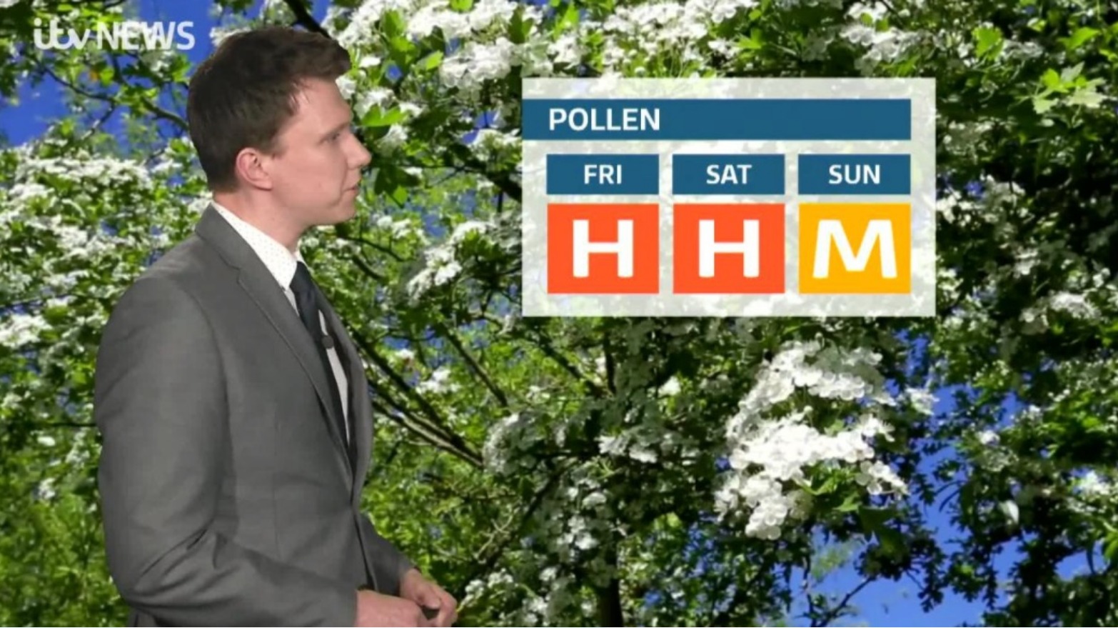 UK weather forecast: Pollen staying high for the next few days across ...