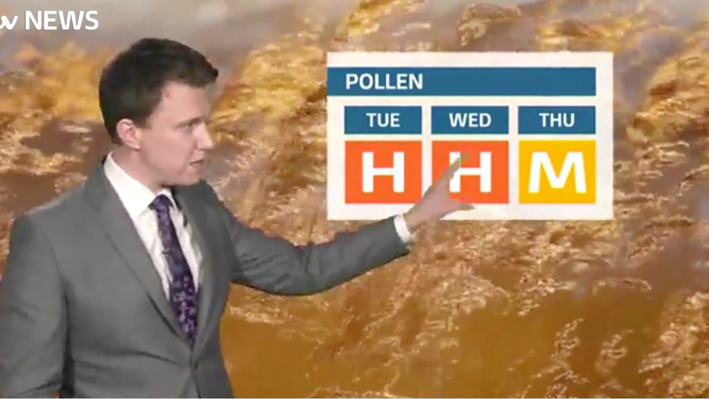 UK weather forecast: High pollen levels for the next couple of days ...