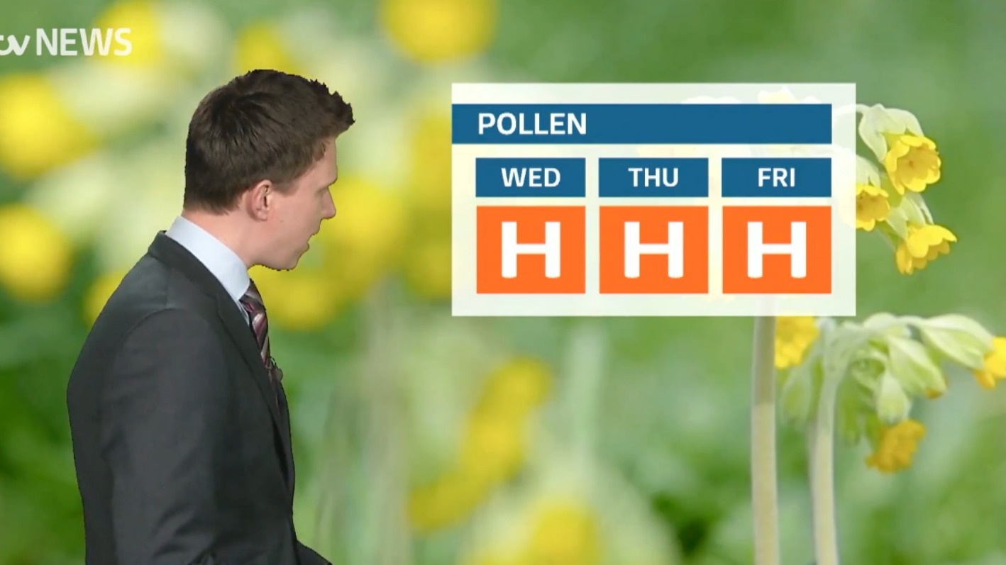 UK weather forecast: Pollen levels now look as though they'll stay high ...