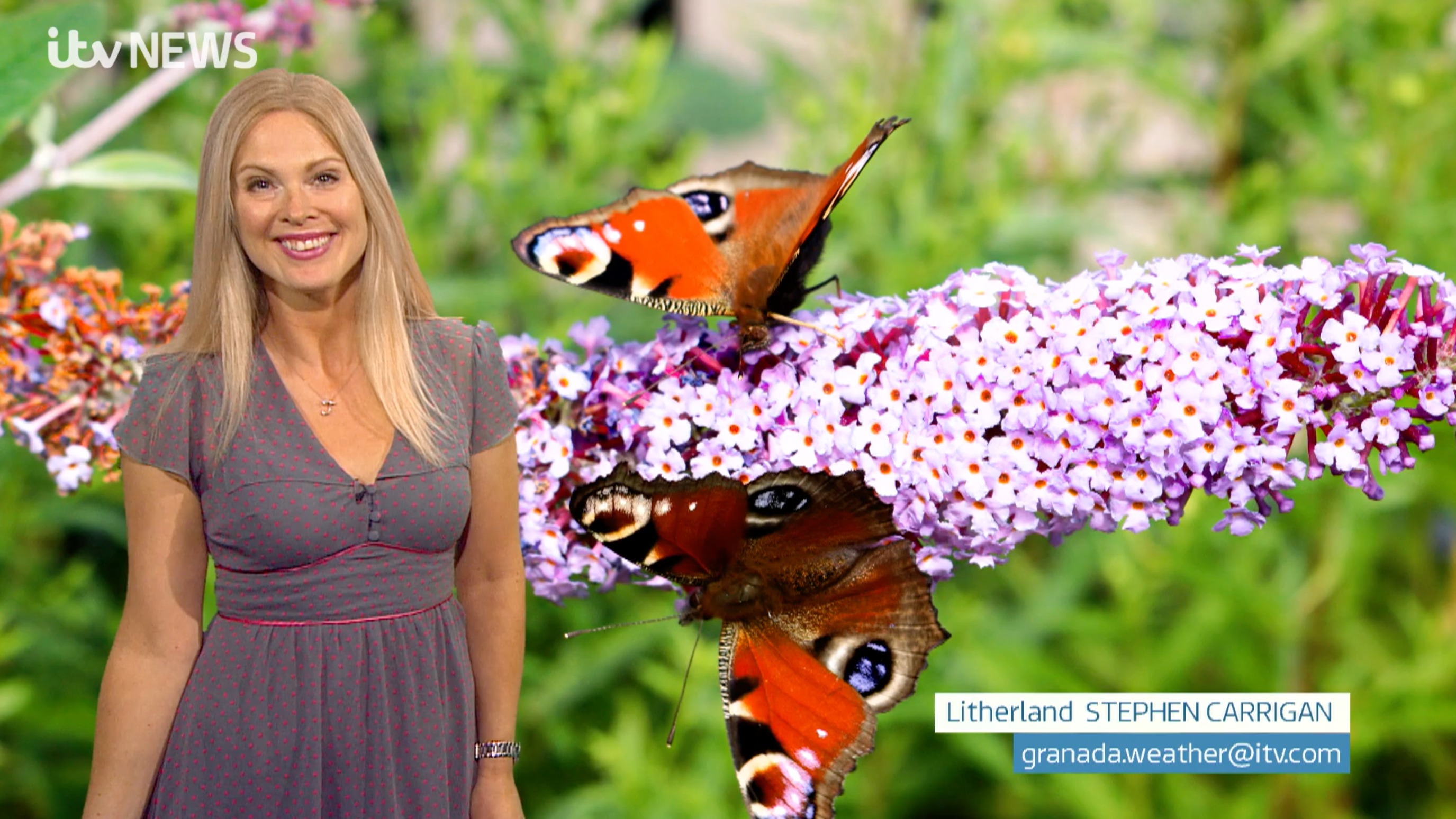 Friday's pollen forecast | ITV News Granada
