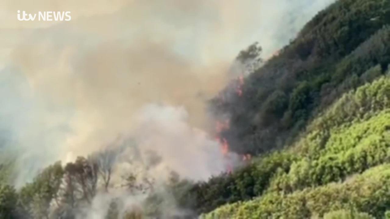 Wildfire warning following blaze on Isle of Wight | ITV News Meridian
