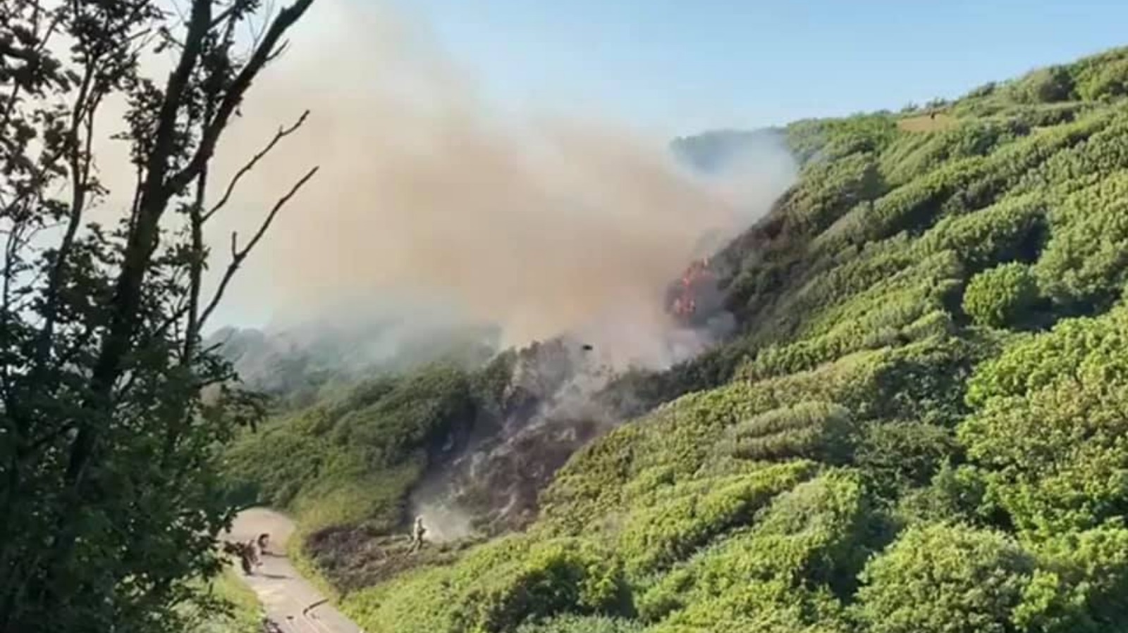 Wildfire warning following blaze on Isle of Wight | ITV News Meridian