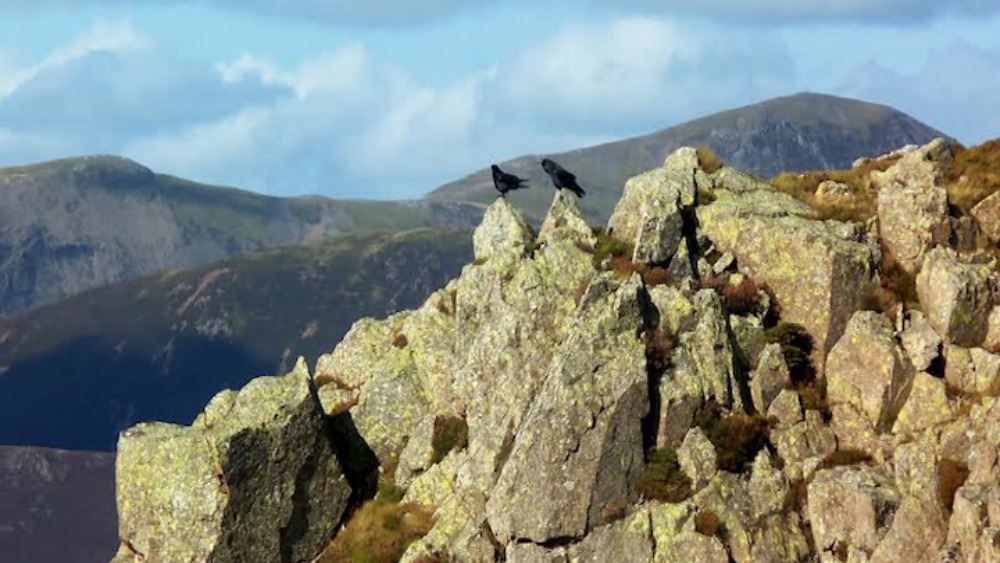 Monday through the Border region. | ITV News Border