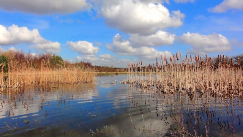 Forecast: A week of dry weather on its way | ITV News Granada