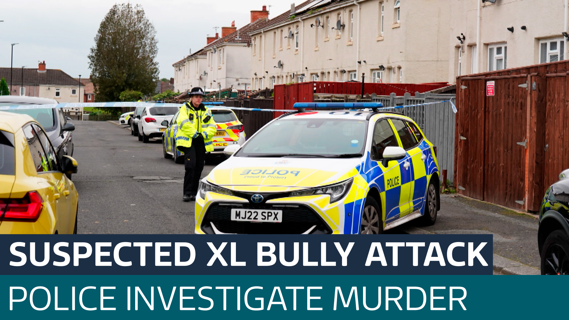 Police launch murder investigation after man dies in suspected XL bully ...