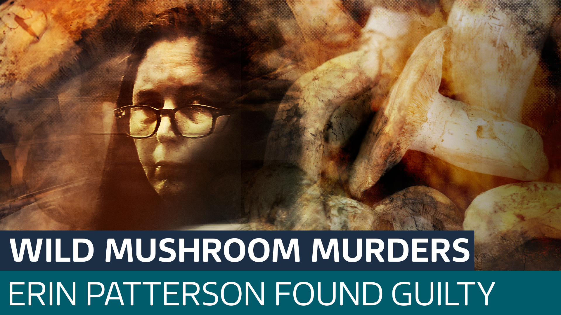 Woman found guilty in mushroom murder trial that has captivated ...