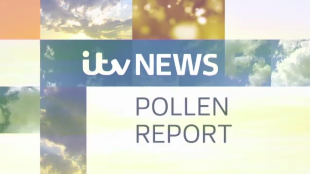 ITV Meridian Pollen Forecast | ITV News Meridian
