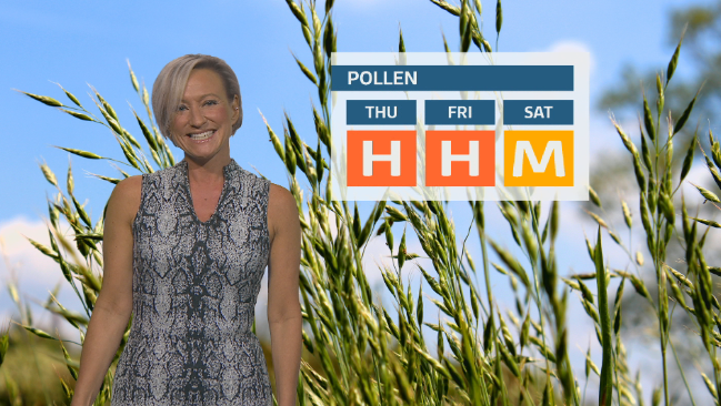 Your ITV Wales Pollen Forecast | ITV News Wales