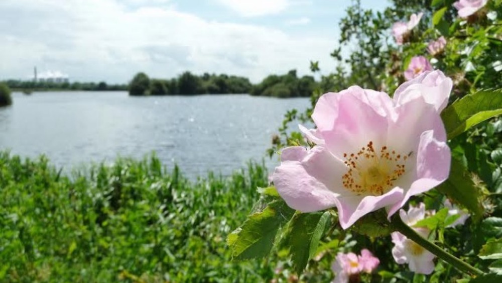 WEEKEND WEATHER: Showers, sunny spells, feeling fresher | ITV News Central