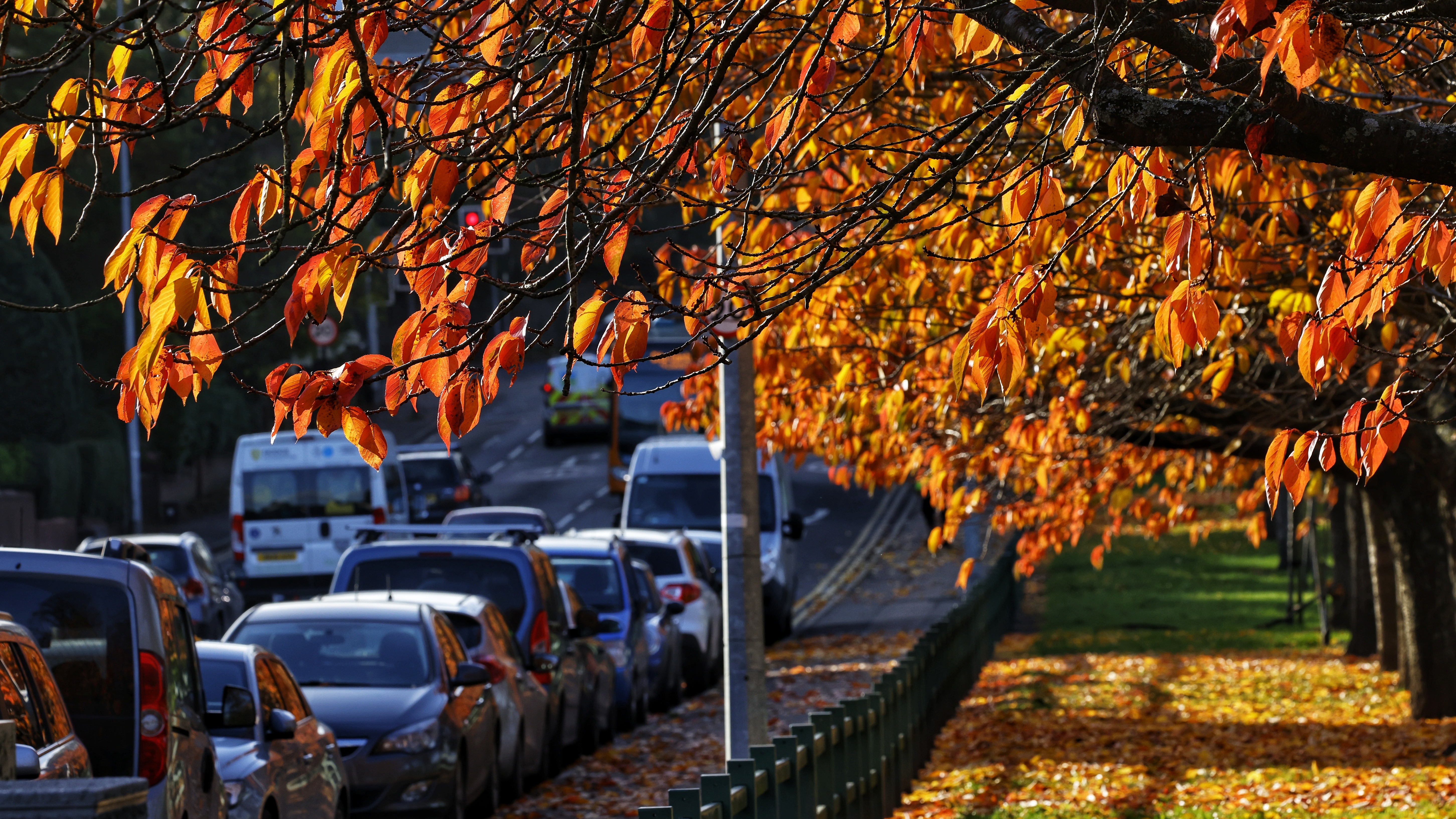 Cardiff Council sparks anger after asking locals to volunteer and pick ...