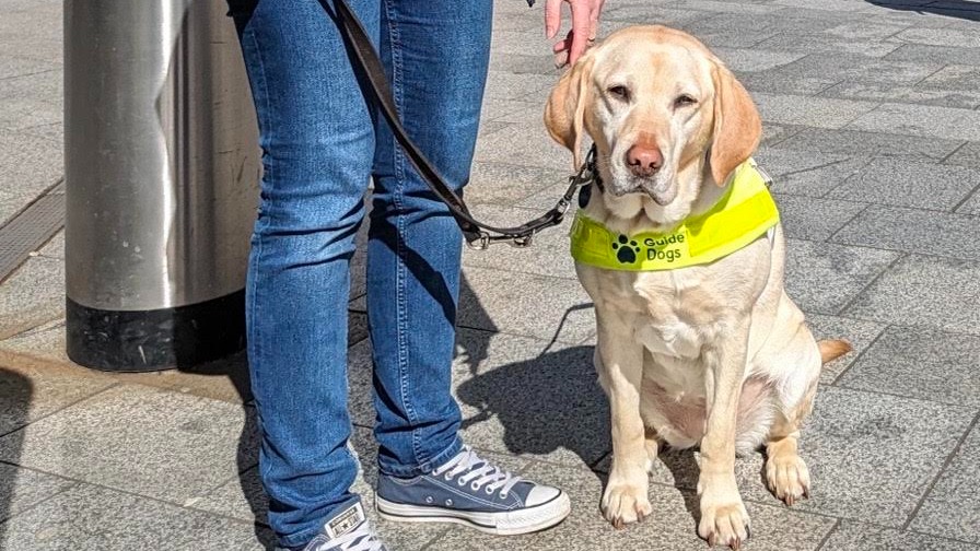 Undercover operation with Guide Dogs charity tests Lichfield taxi ...