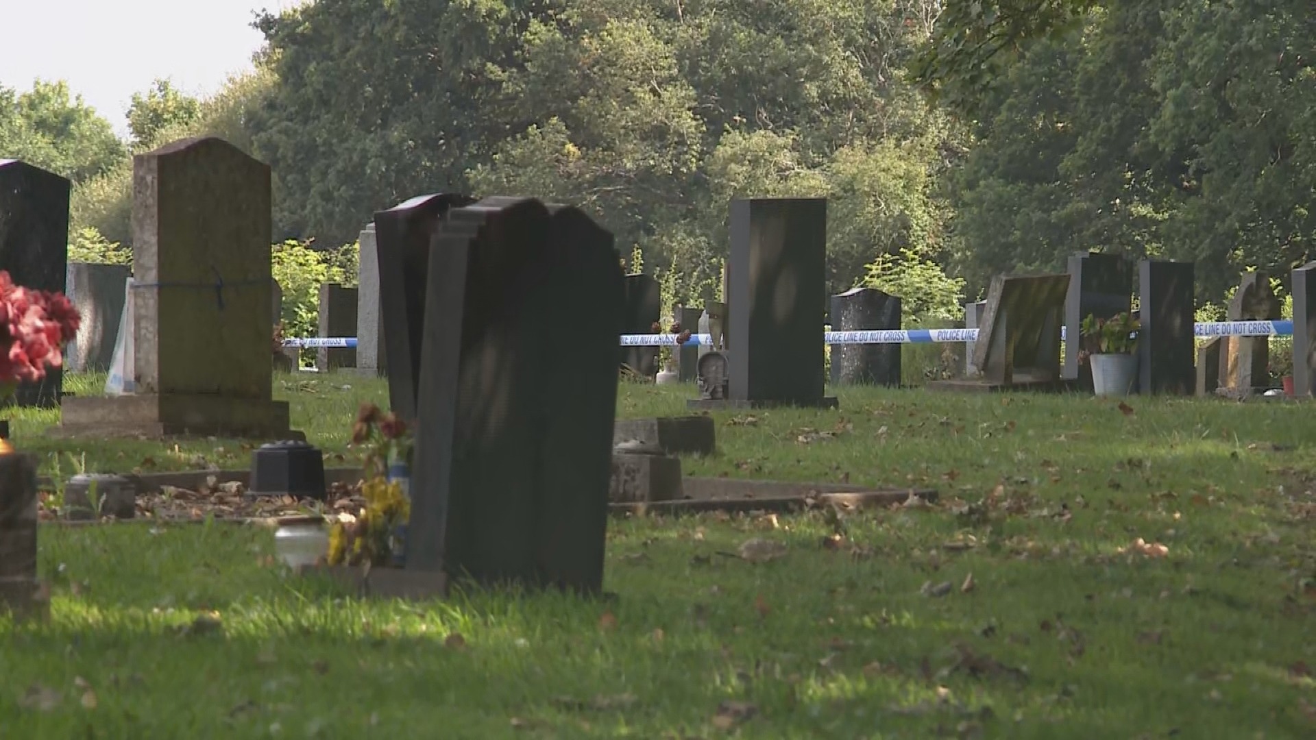 Man charged with murder of woman, 71, assaulted in Hampshire cemetery ...