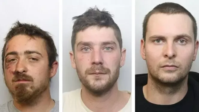 Three men jailed after 'violently' attacking police officers during ...