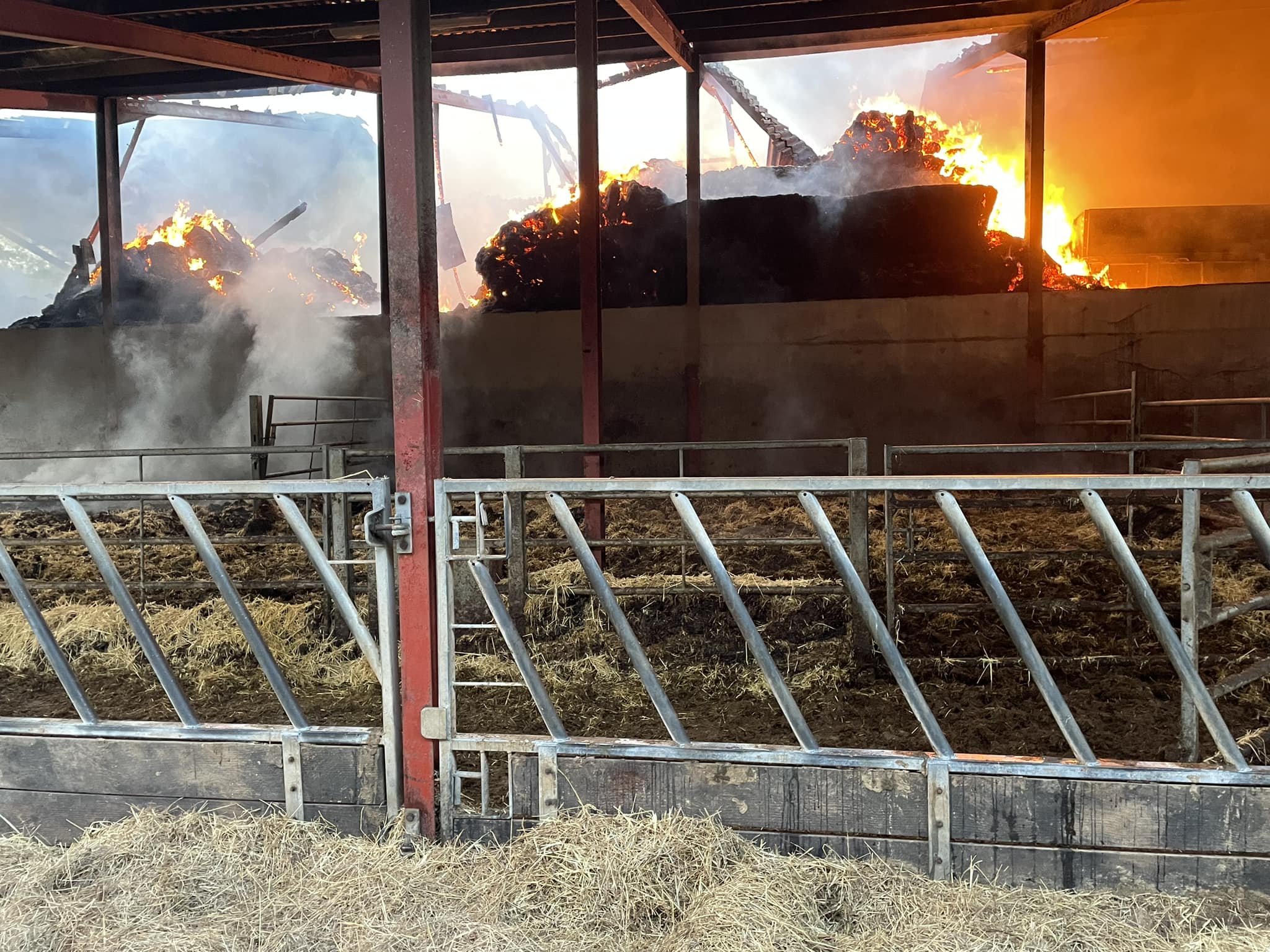 Cattle moved to safety as Devon barn went up in flames | ITV News West ...