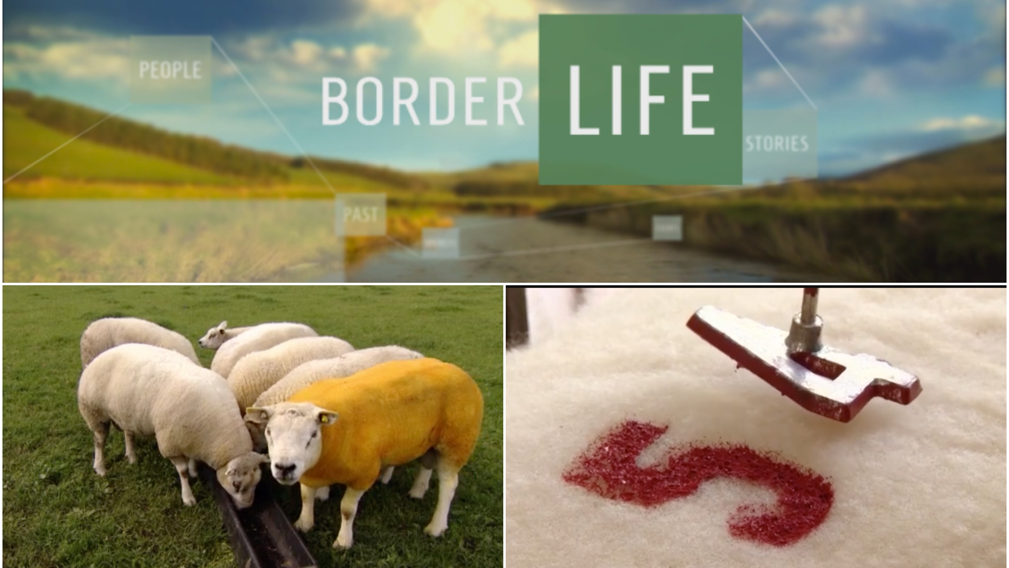 Border Life: How the coronavirus pandemic has changed life on the farm ...
