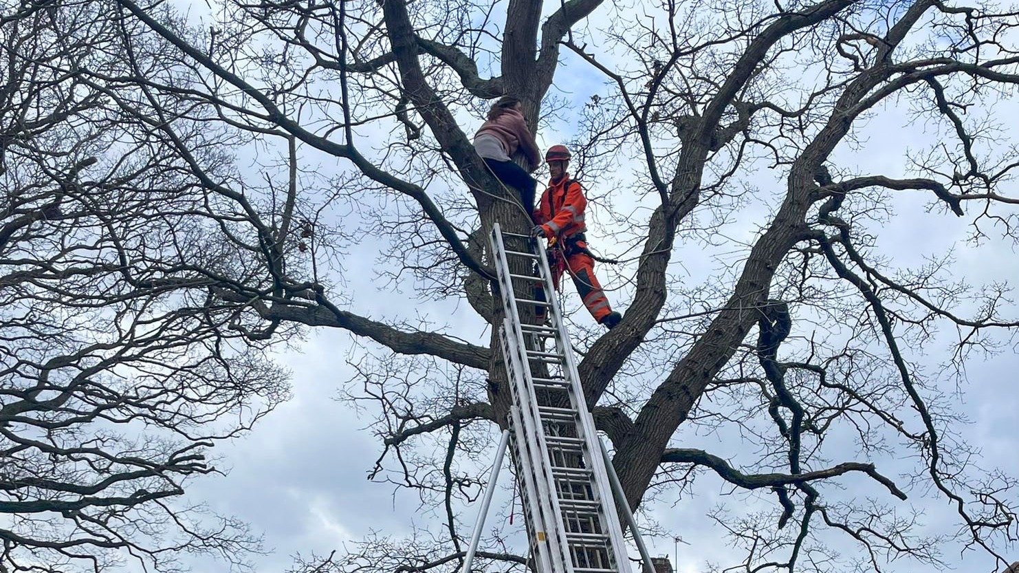 'I was in shock' - woman rescued from tree by fire crews after trying ...