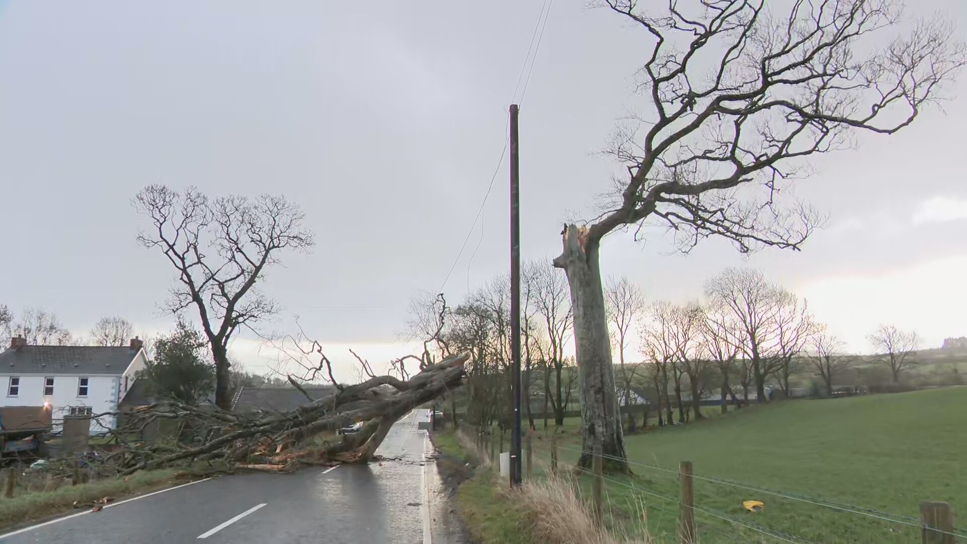 Storm Isha wreaks devastation across Northern Ireland killing man and ...