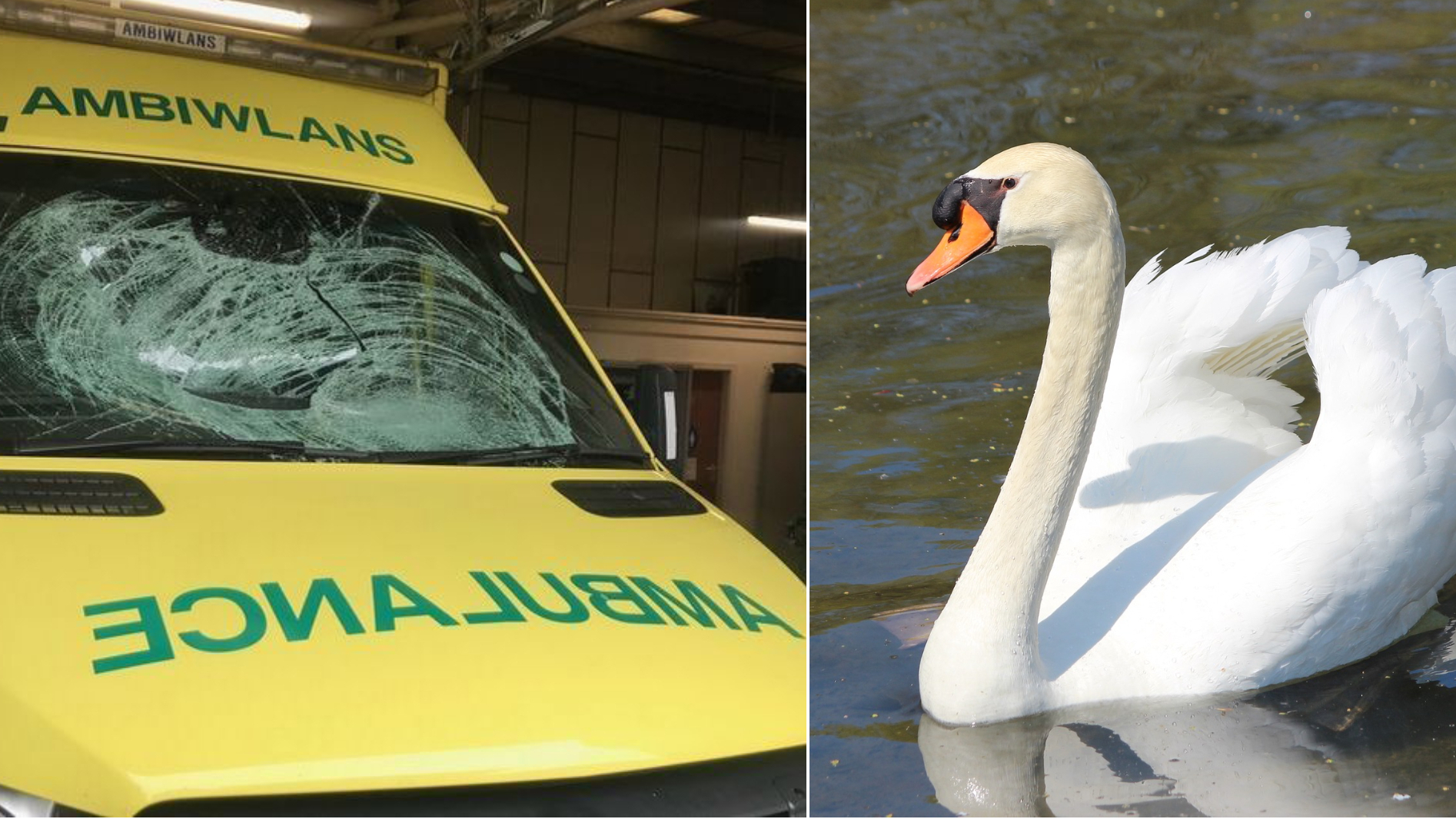 Ambulance smashed and taken off road in bizarre crash with pair of low ...