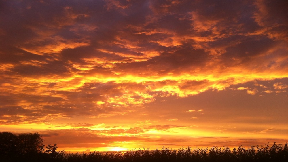 Anglia Weather: Bright or sunny spells, scattered showers later | ITV ...