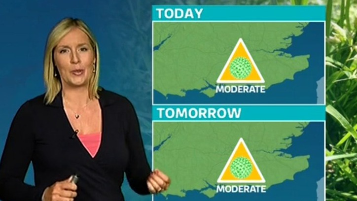 Pollen count for the Meridian region | ITV News Meridian